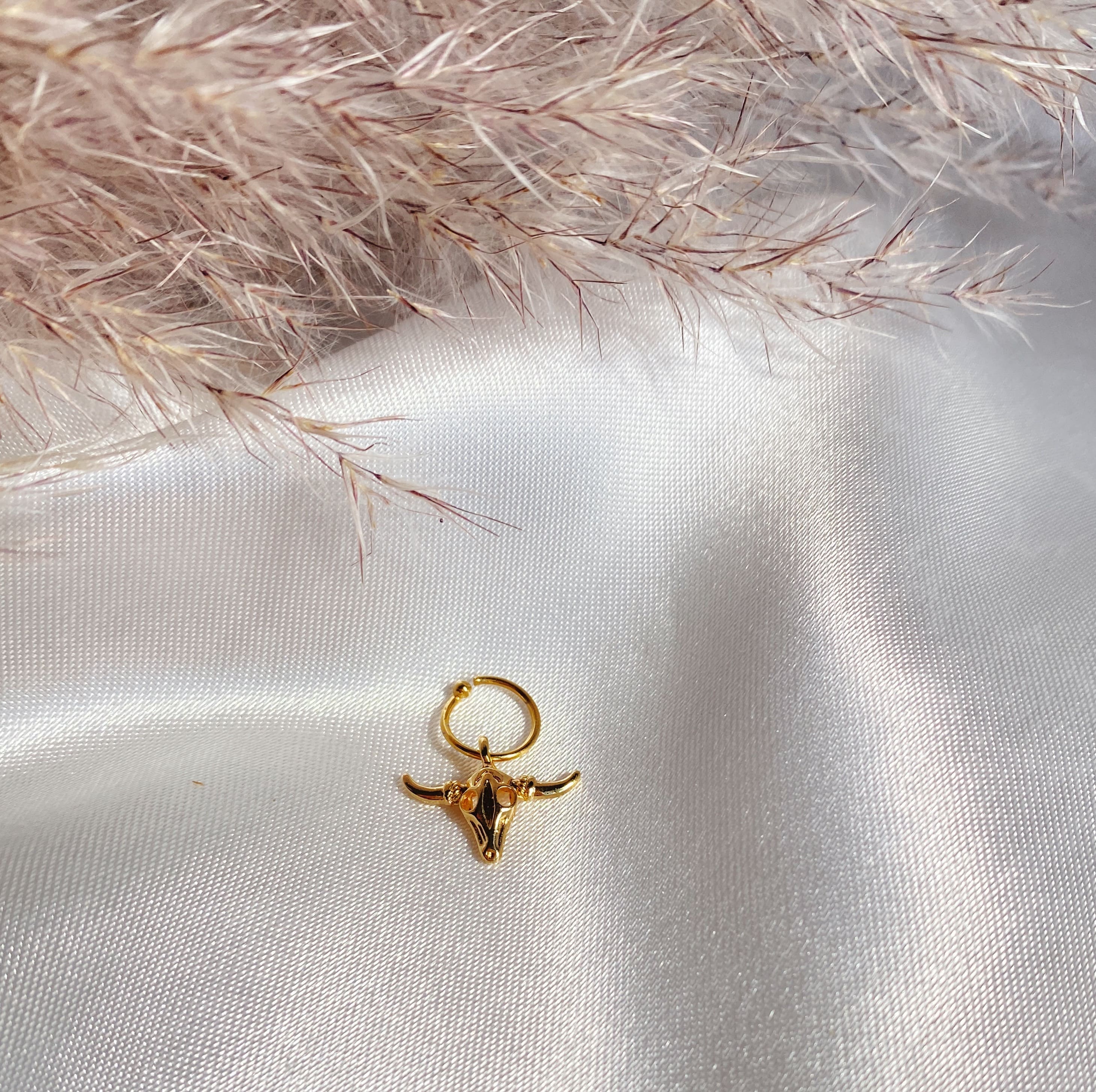 Piercing Cabeza de Toro | Perfo de la oreja | Perfo en la Oreja – Creta ...